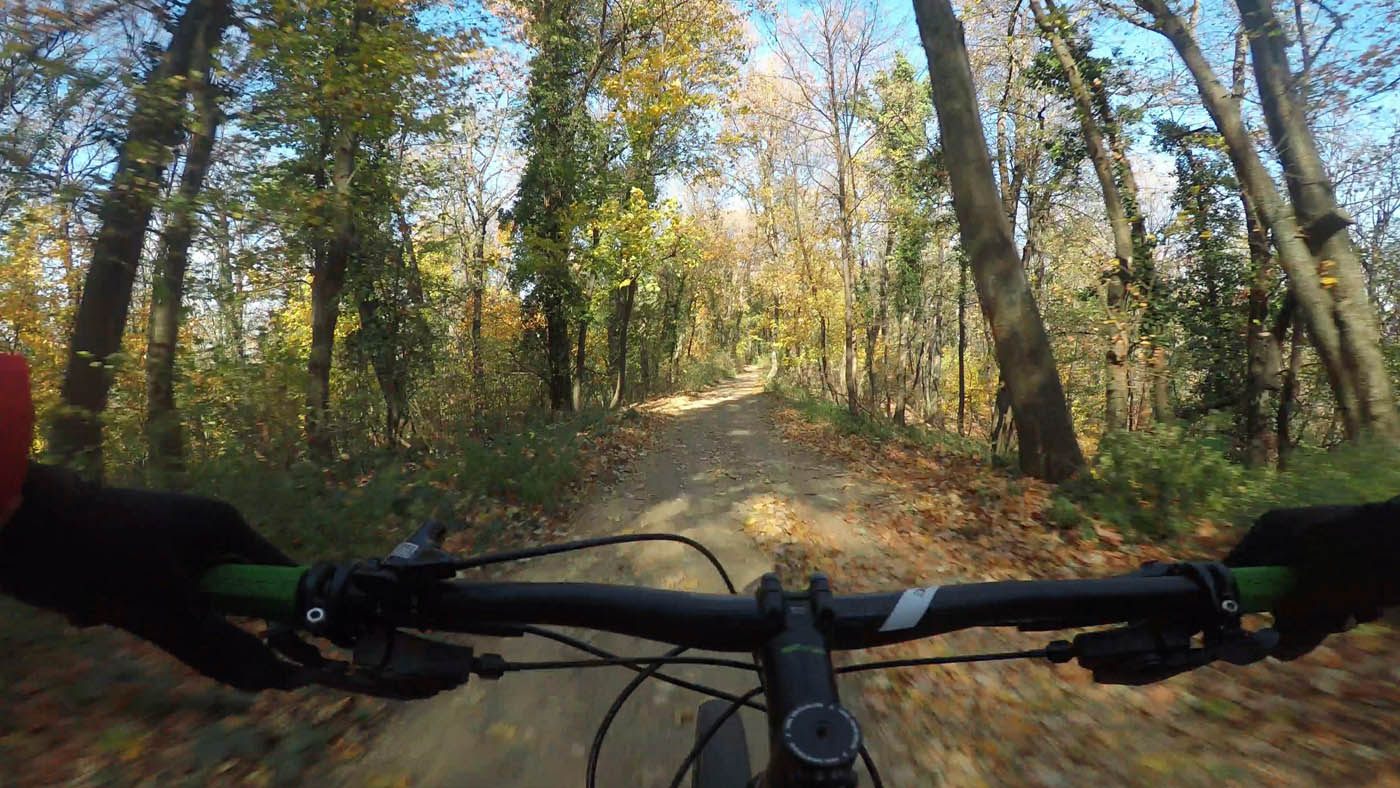 » Riding a fast single trail in the forest